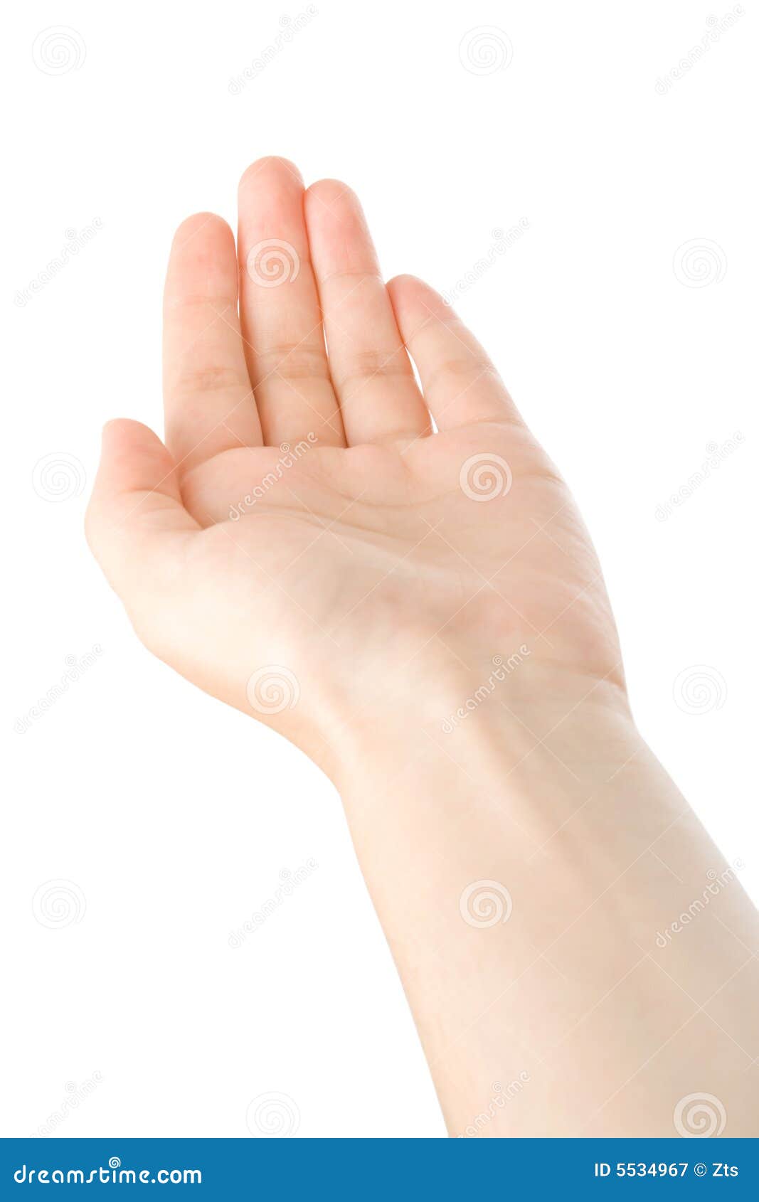 Open hand stock image. Image of hold, begging, caucasian - 5534967