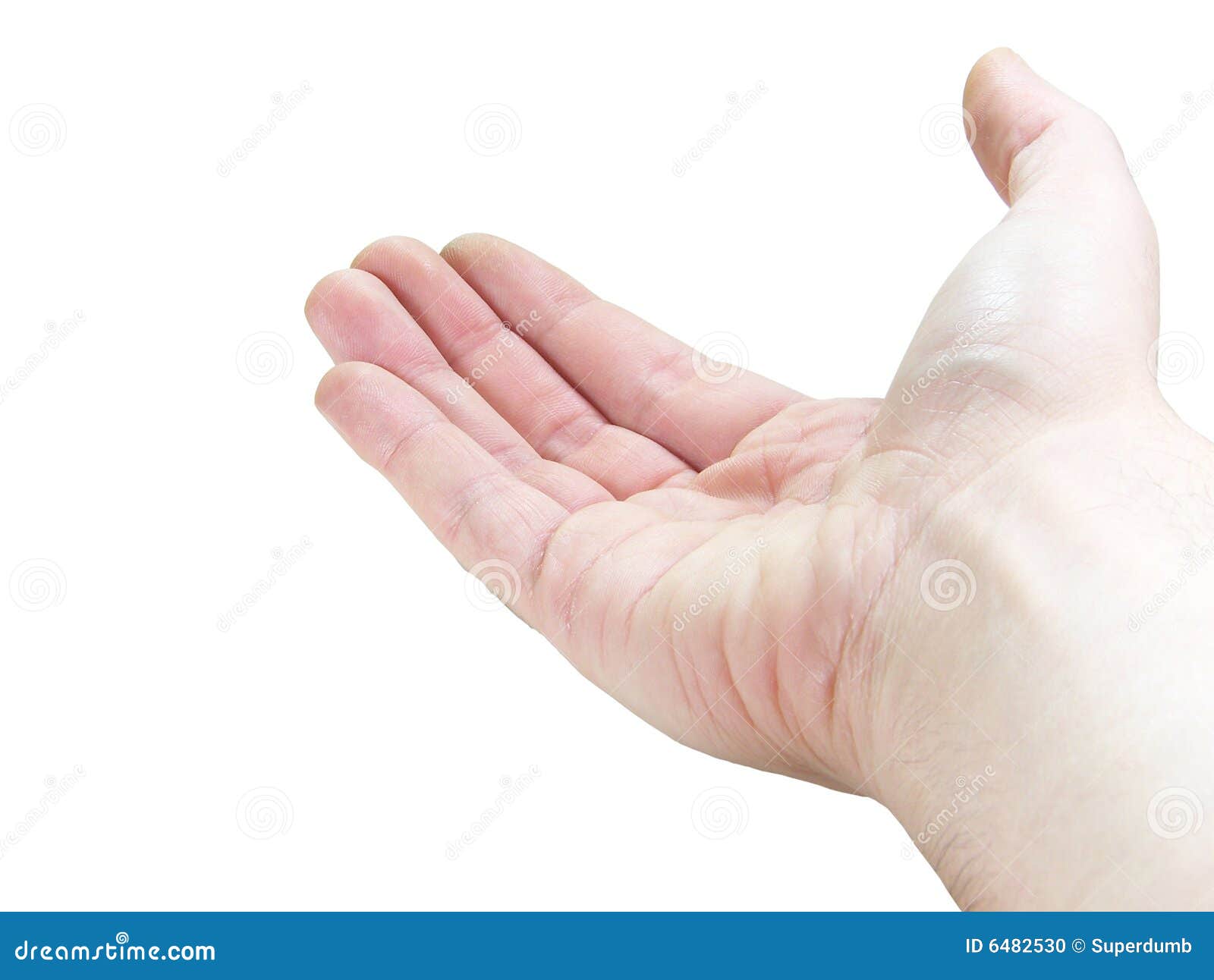 Open Hand stock photo. Image of isolated, assistance, finger - 6482530