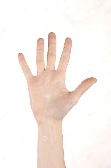 Open hand stock photo. Image of thumb, sign, metaphors - 7288526