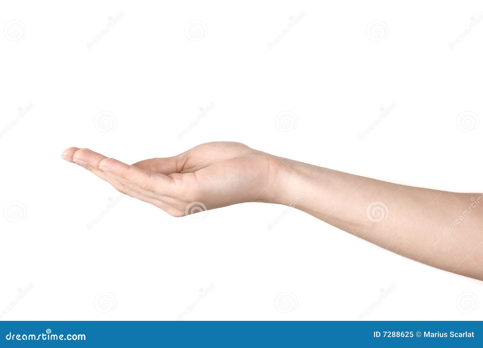 Open hand stock image. Image of isolated, clip, palm, isolation - 7288625