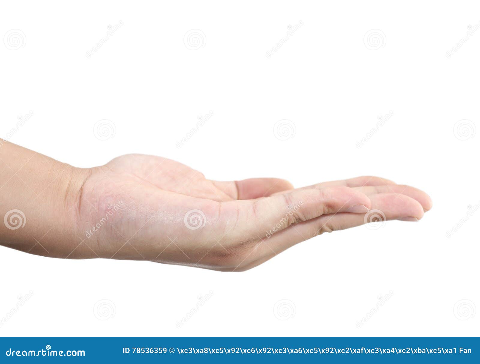Open hand stock image. Image of blag, claim, hand, indoors - 78536359