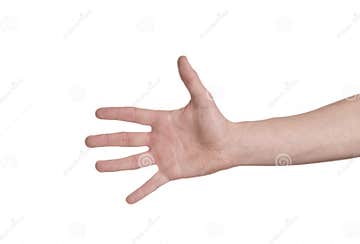 Open hand. stock image. Image of body, palm, spread, hand - 49670749