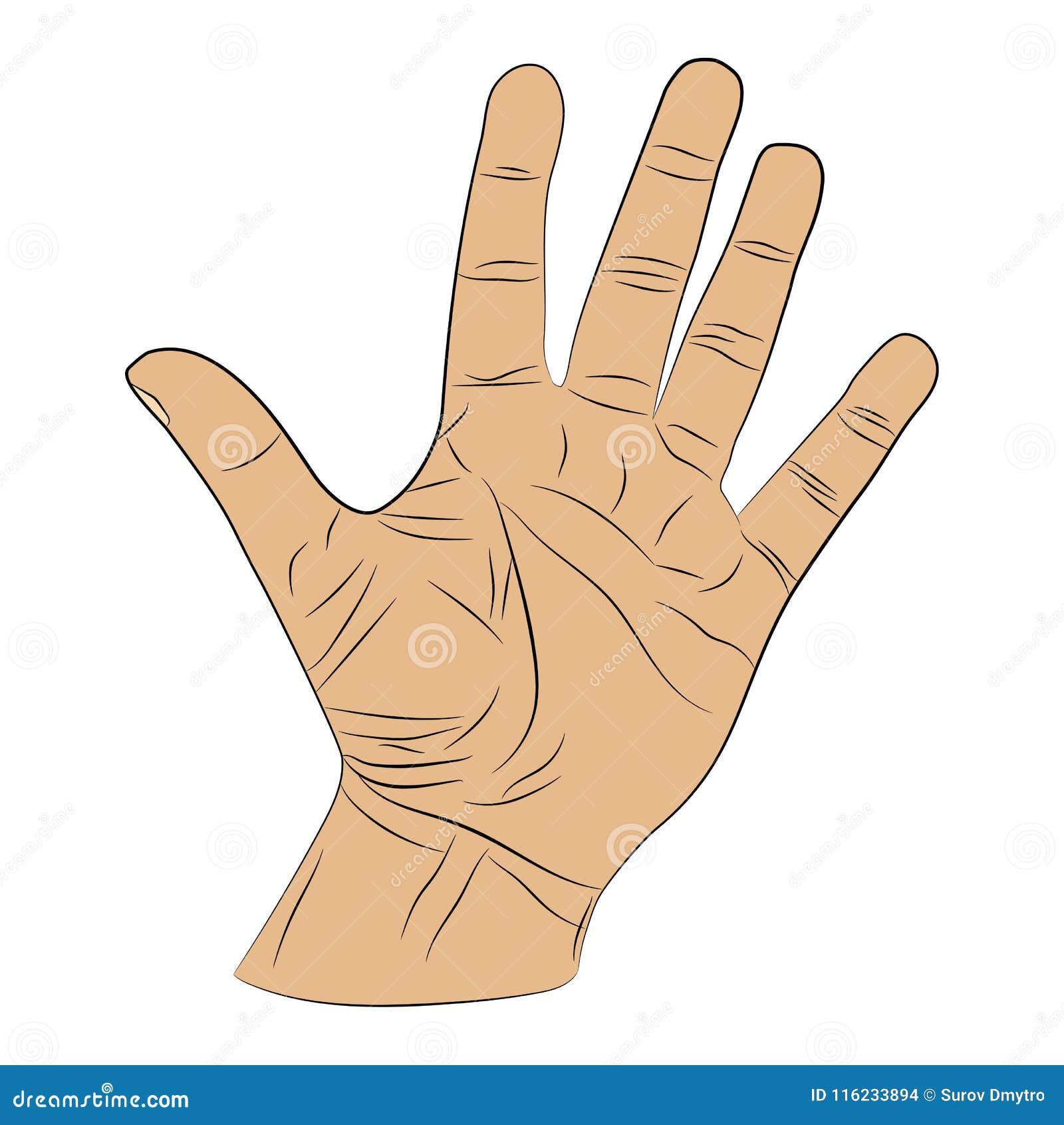 Open Hand Drawing Illustration Stock Illustration - Illustration of ...