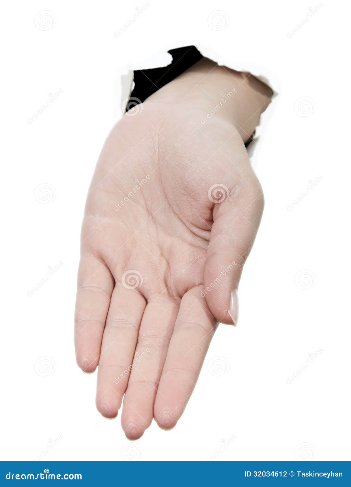 Open hand stock photo. Image of fingernail, close, document - 32034612