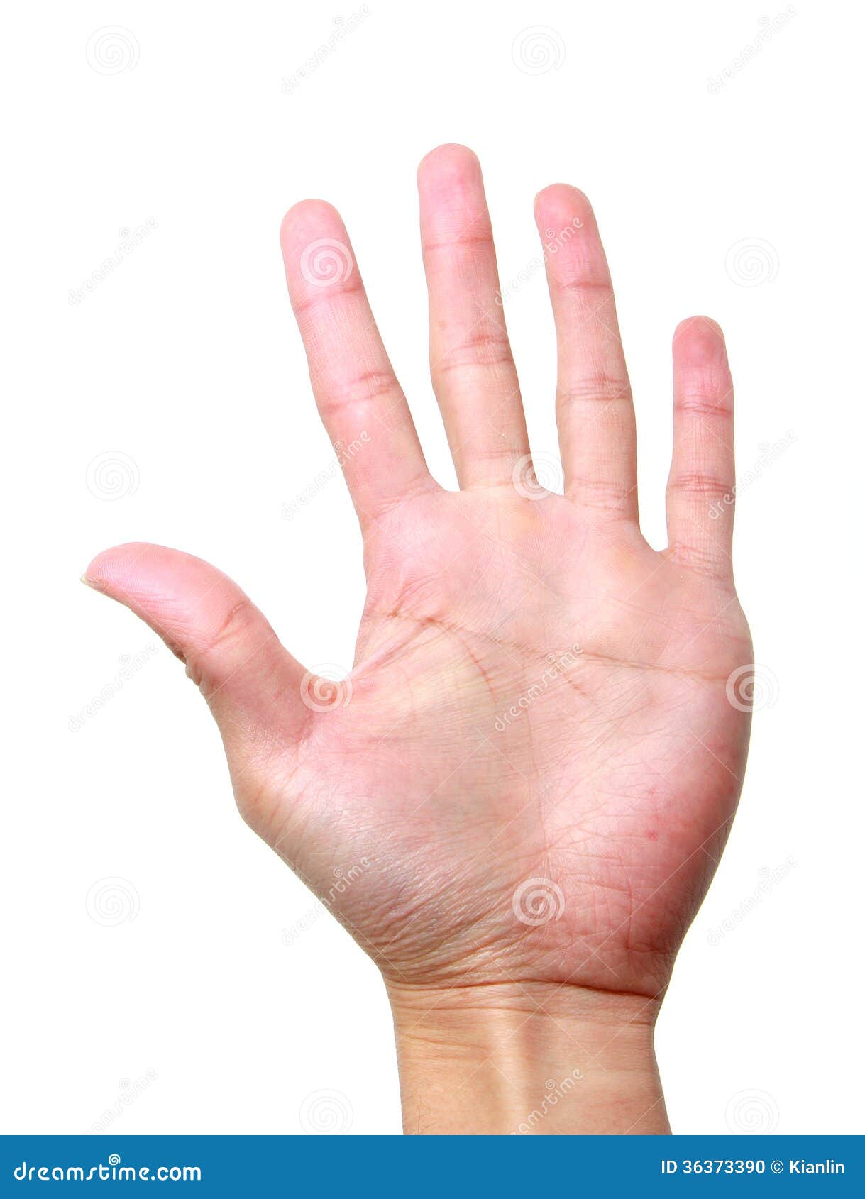 Open hand stock photo. Image of demonstrate, holding - 36373390