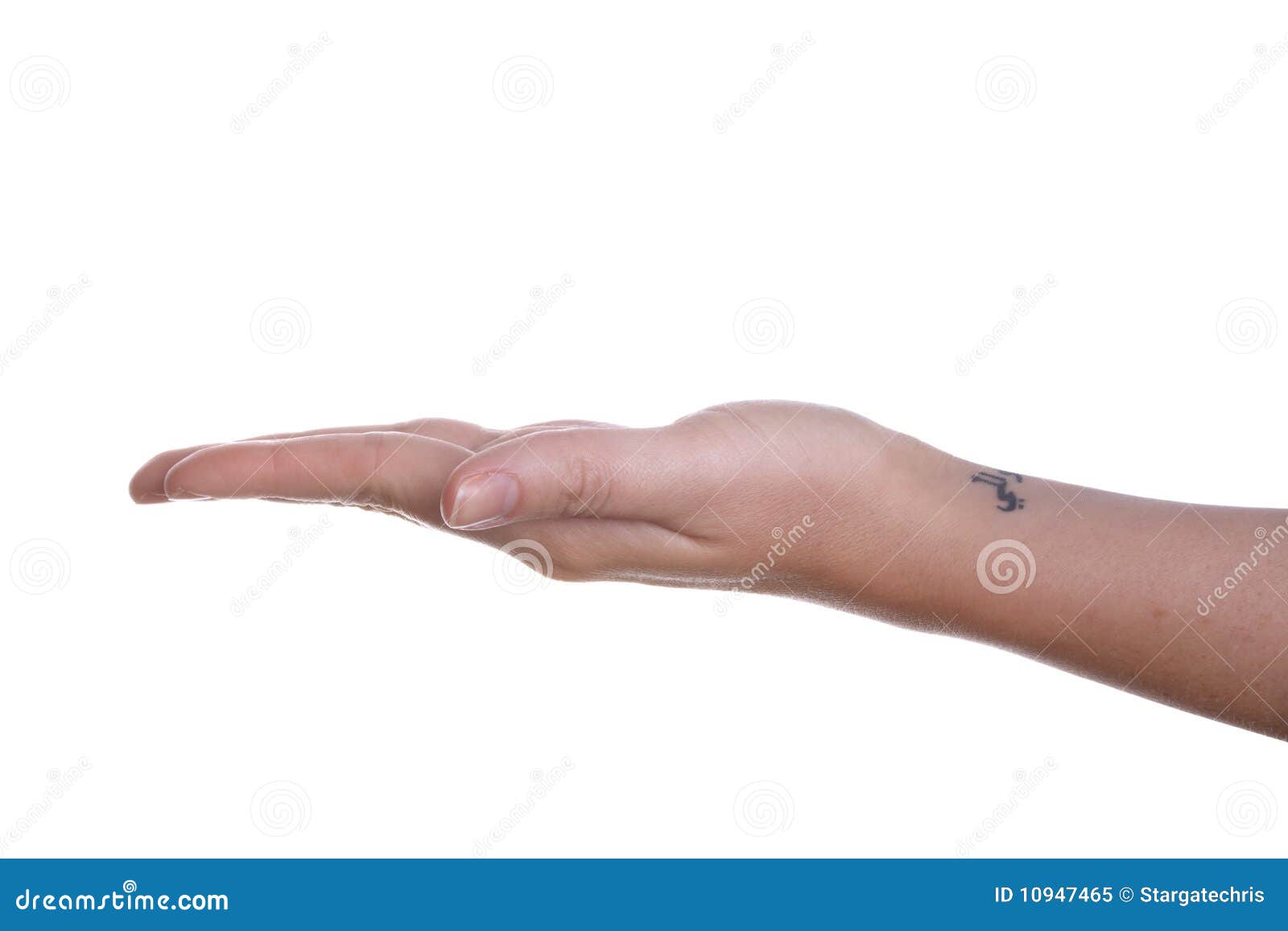 Open Hand gesture stock image. Image of giving, female - 10947465