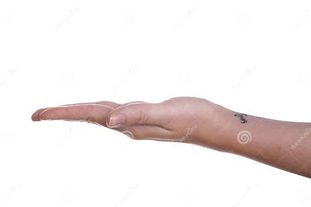 Open Hand gesture stock image. Image of giving, female - 10947465