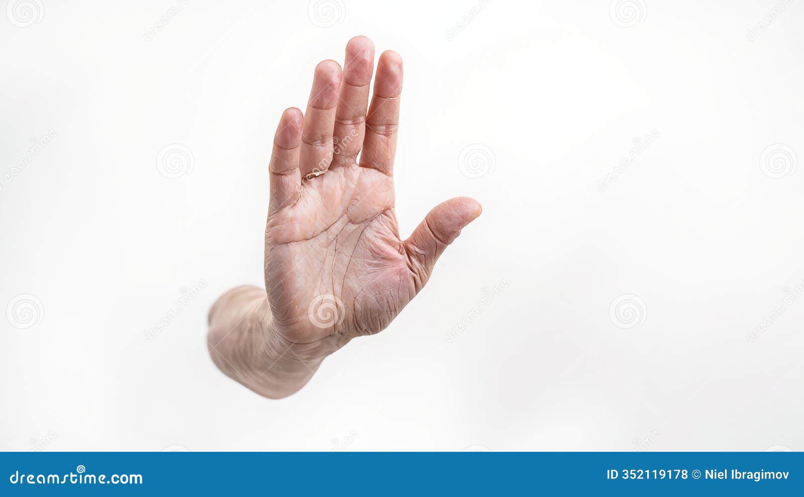 Open Hand Gesture on White Background: Symbol of Stop, Halt, or Request ...