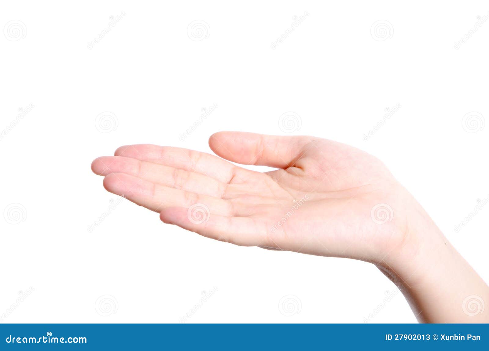 Open hand isolated stock image. Image of body, white - 27902013