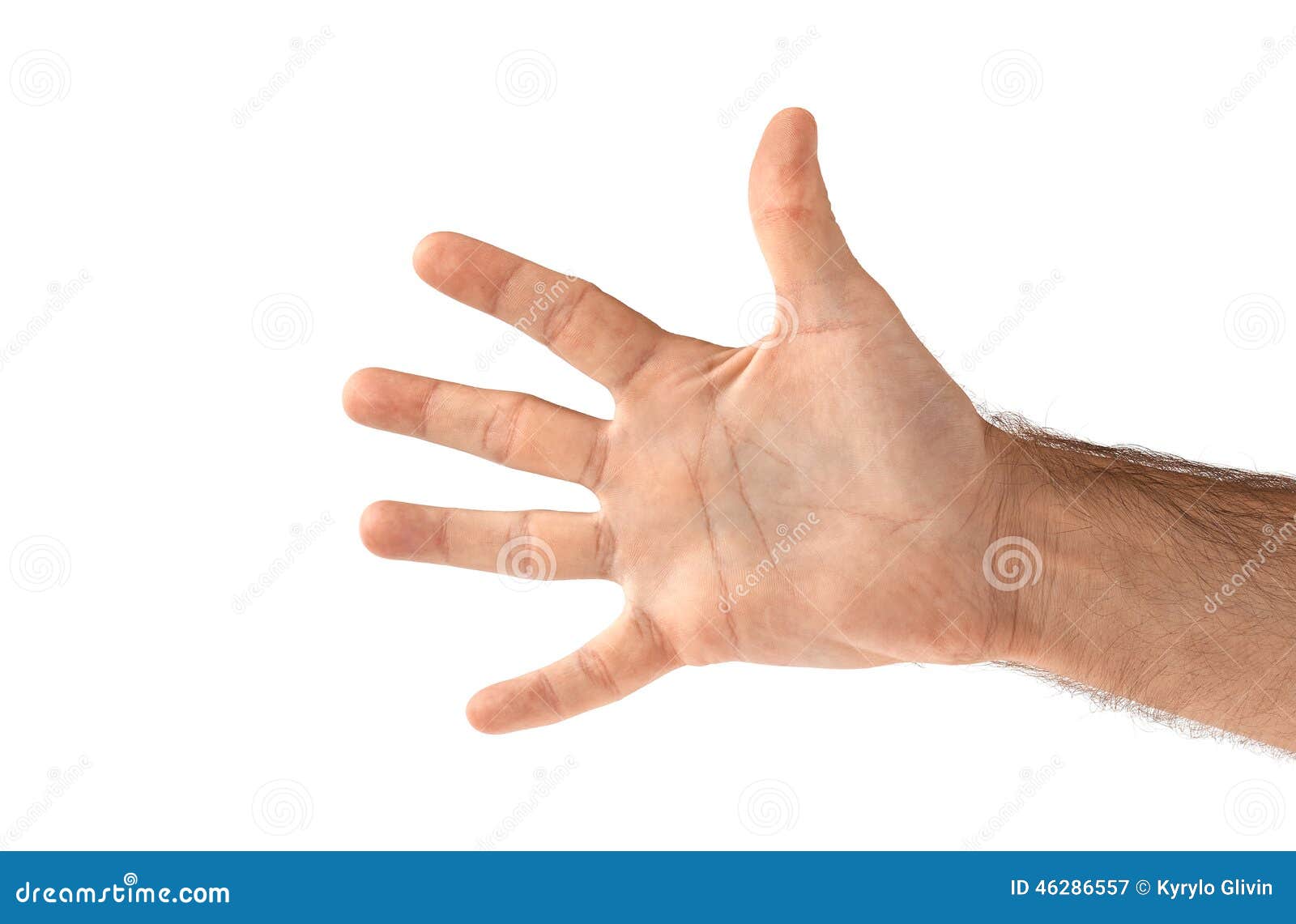 Open hand (isolated) stock image. Image of high, greeting - 46286557