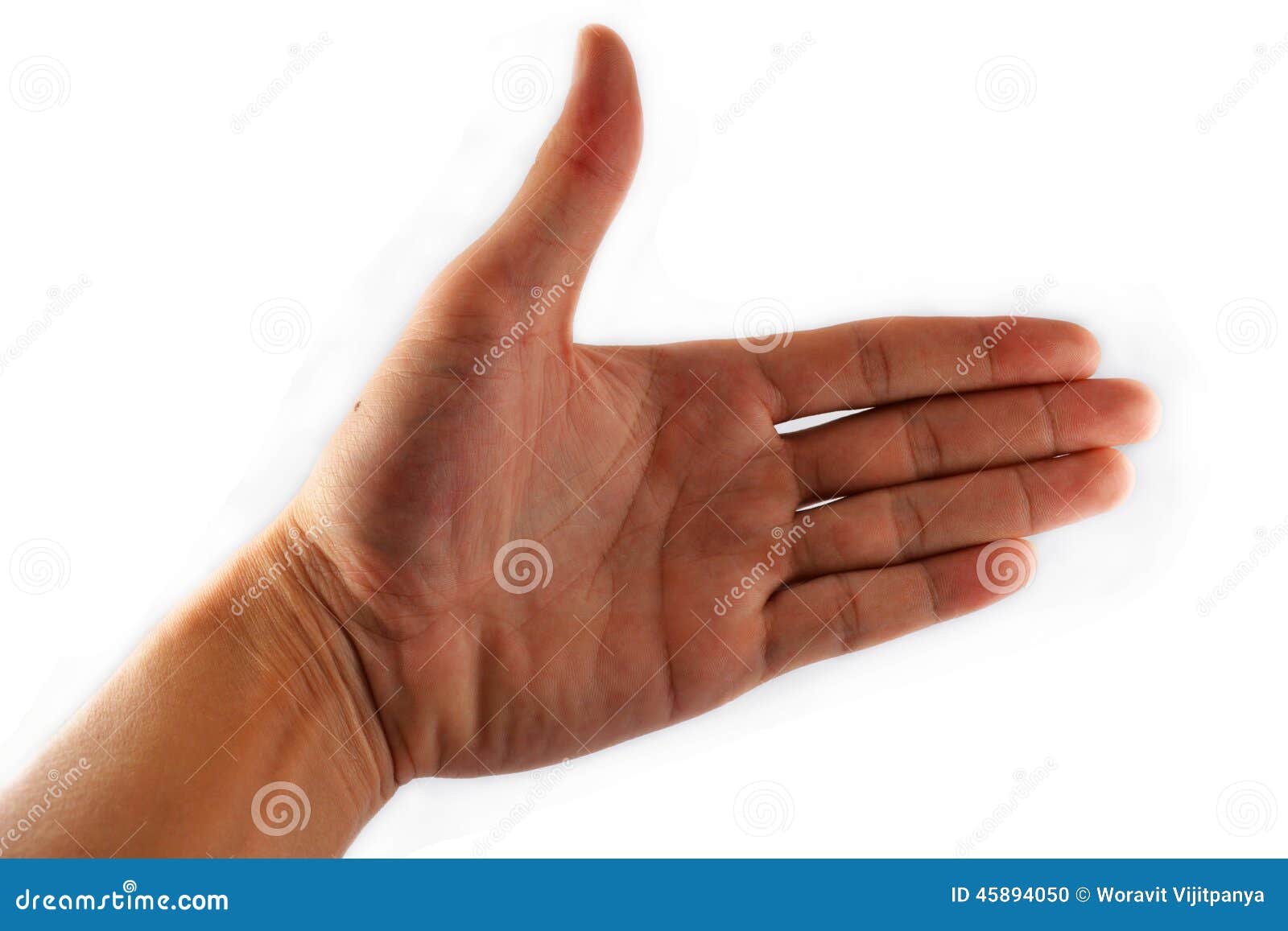 Open Hand stock photo. Image of empty, concept, assist - 45894050
