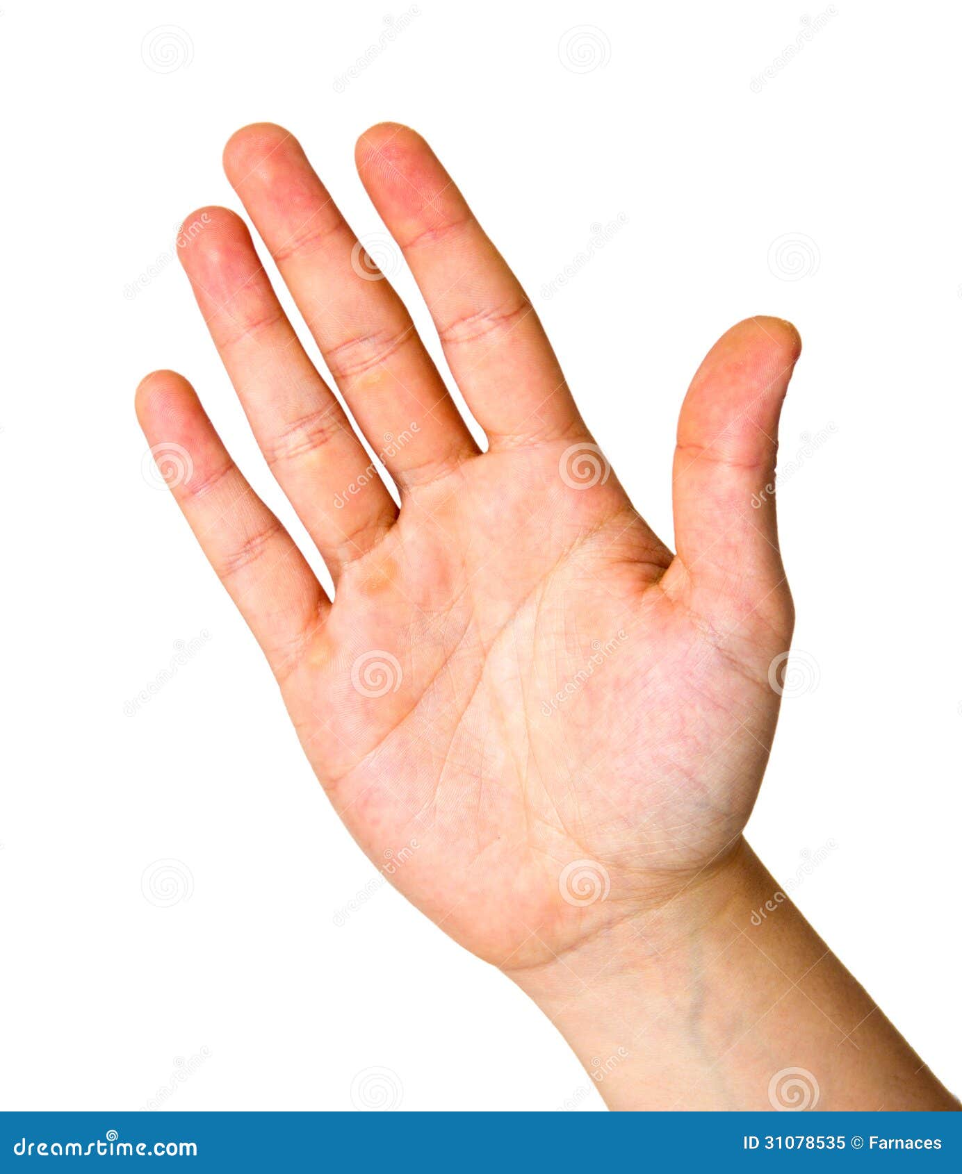 Open hand stock image. Image of background, human, isolated - 31078535