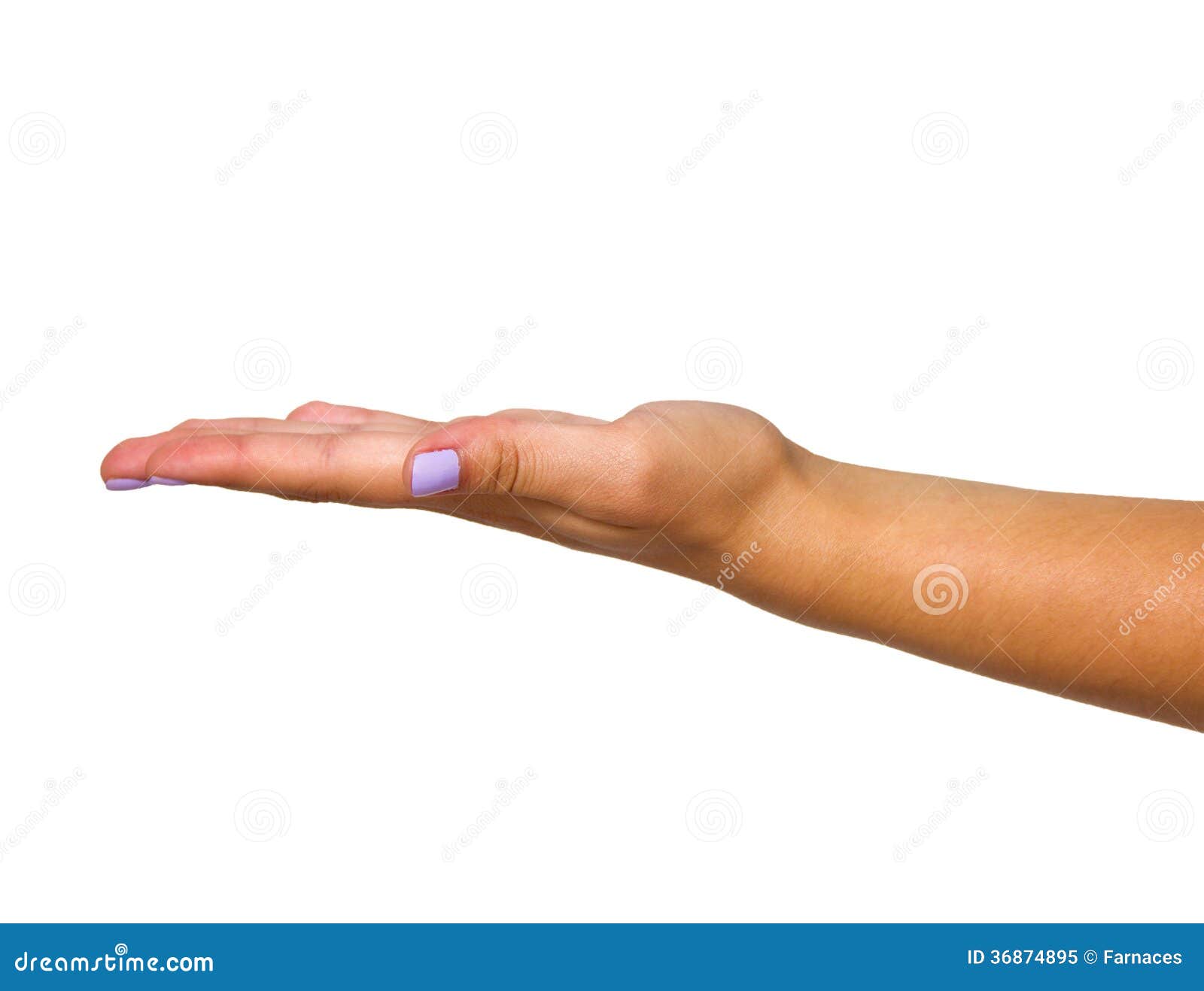 Open hand stock image. Image of hold, palm, white, caucasian - 36874895