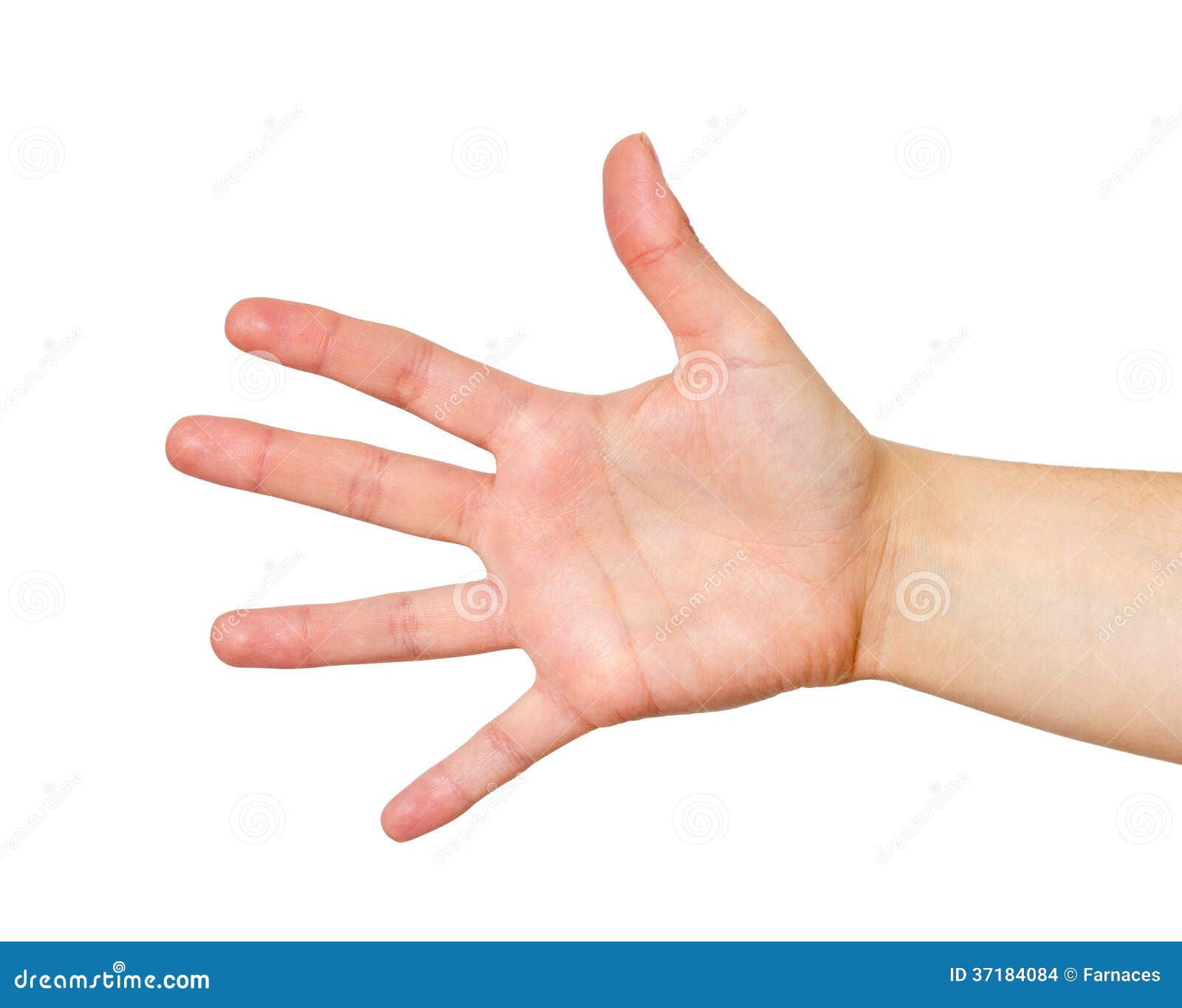 Open hand stock photo. Image of symbol, empty, adult - 37184084