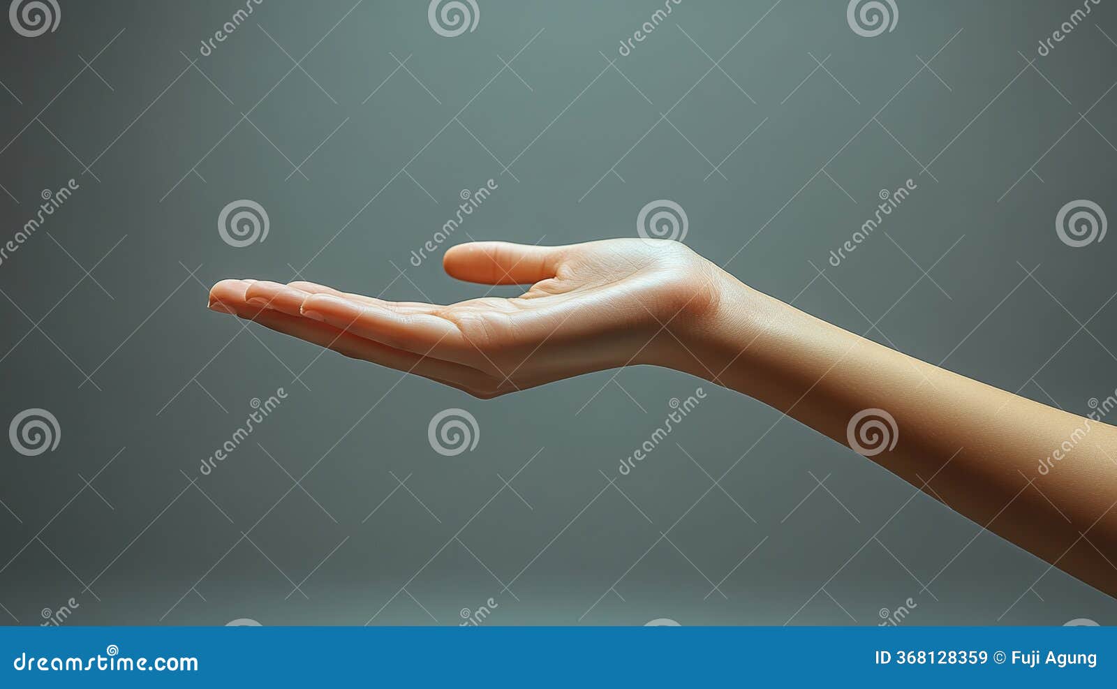 Hand Offering A Dove In Continuous Line Drawing, Symbolizing Love And ...