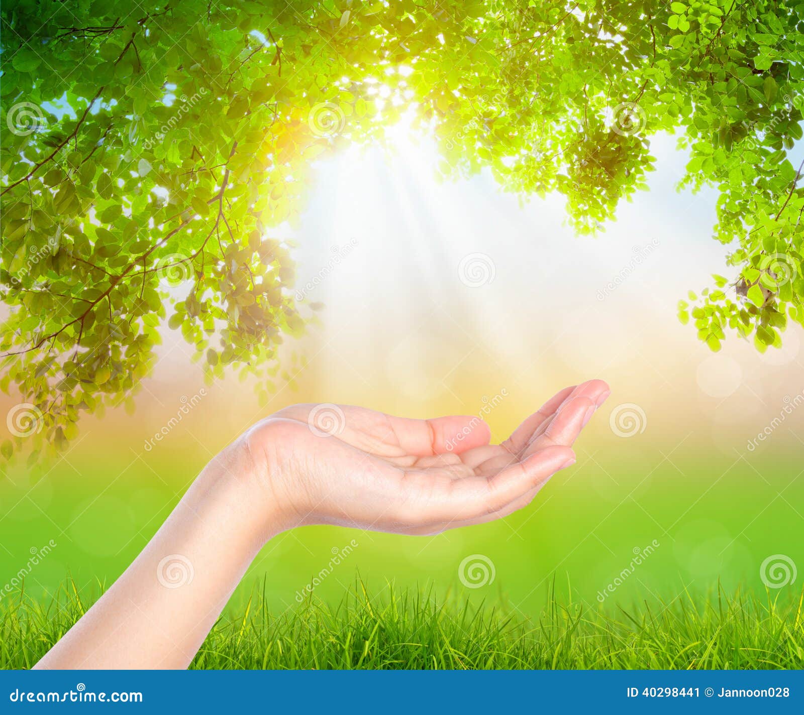 Open Hand Over Nature Background Imagination Stock Image - Image of ...