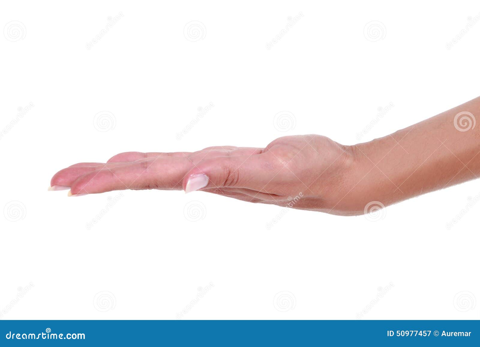 Open hand stock image. Image of outstretched, hold, good - 50977457