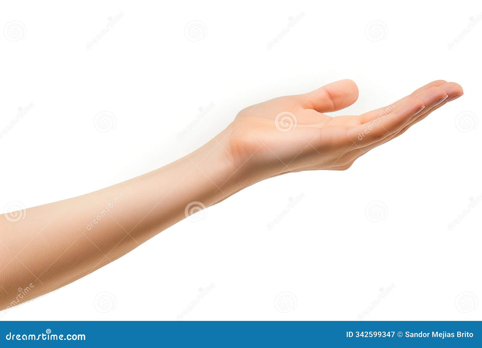 Open Hand with the Palm Facing Upwards, Suggesting a Gesture of ...