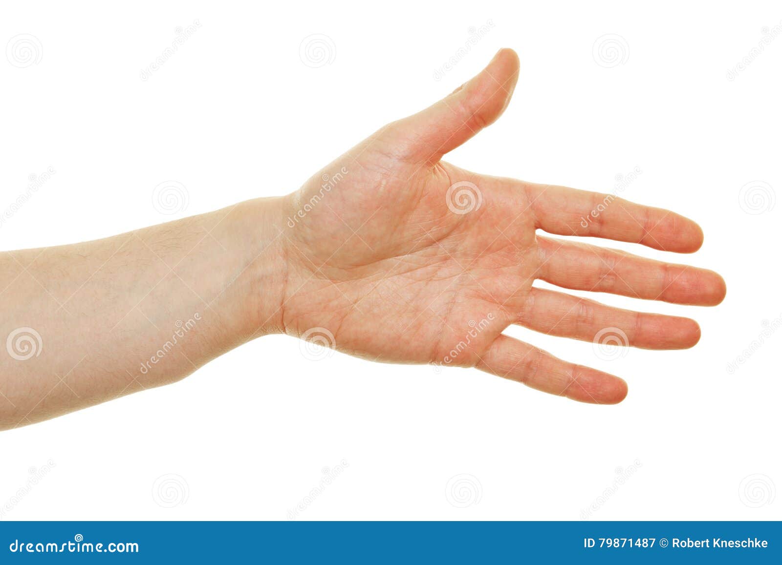 Open hand reaching stock image. Image of isolated, open - 79871487