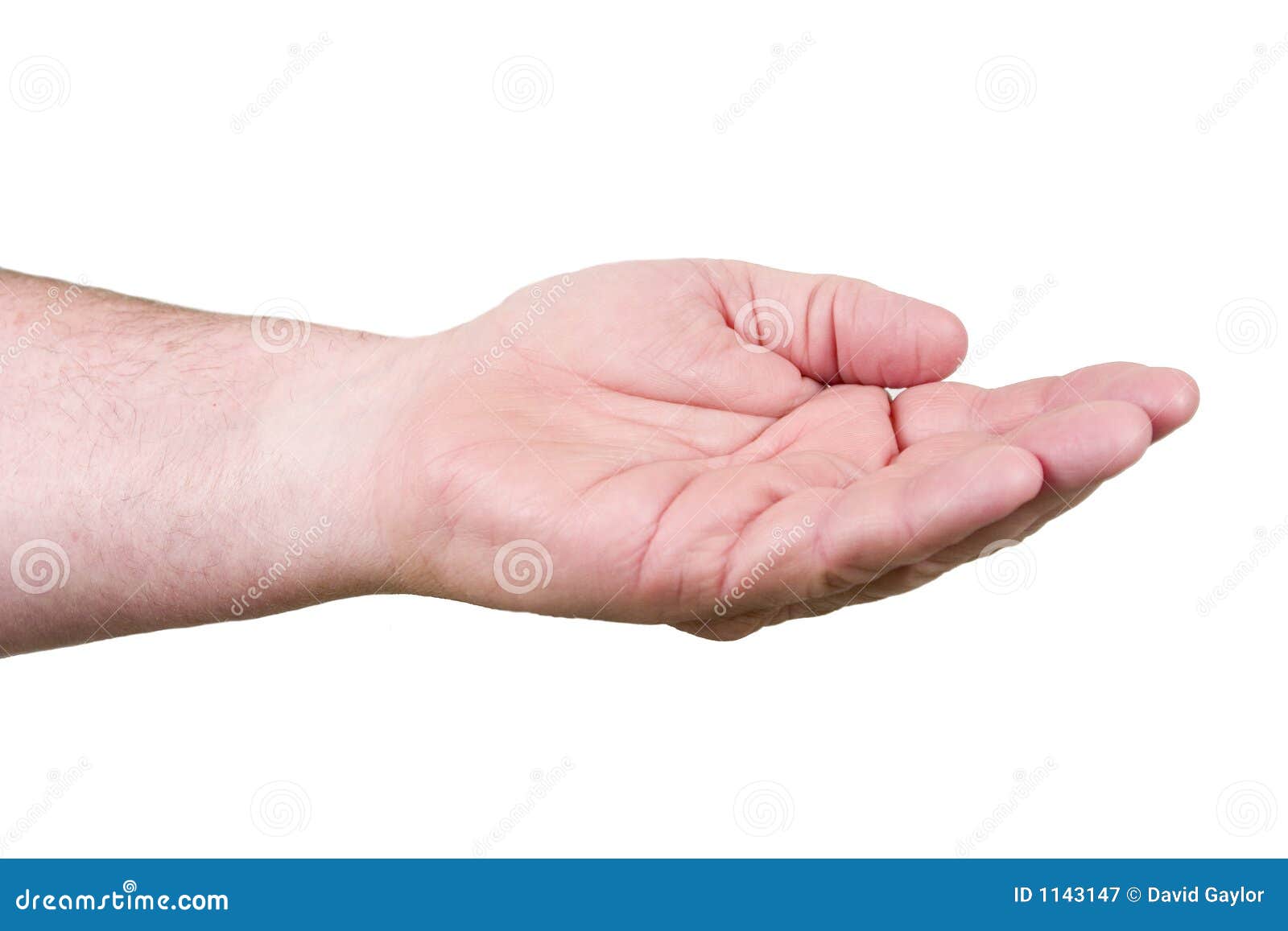 Open hand from side 2257 stock image. Image of metaphor - 1143147