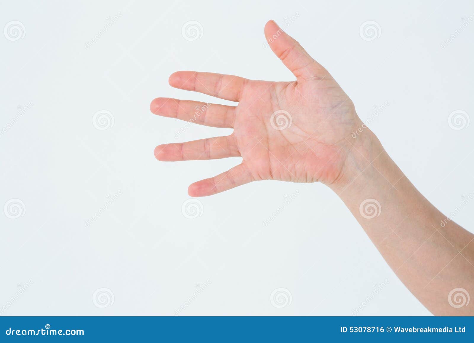 Hand Waving Malaysia Flag Also Known As Jalur Gemilang Royalty-Free ...