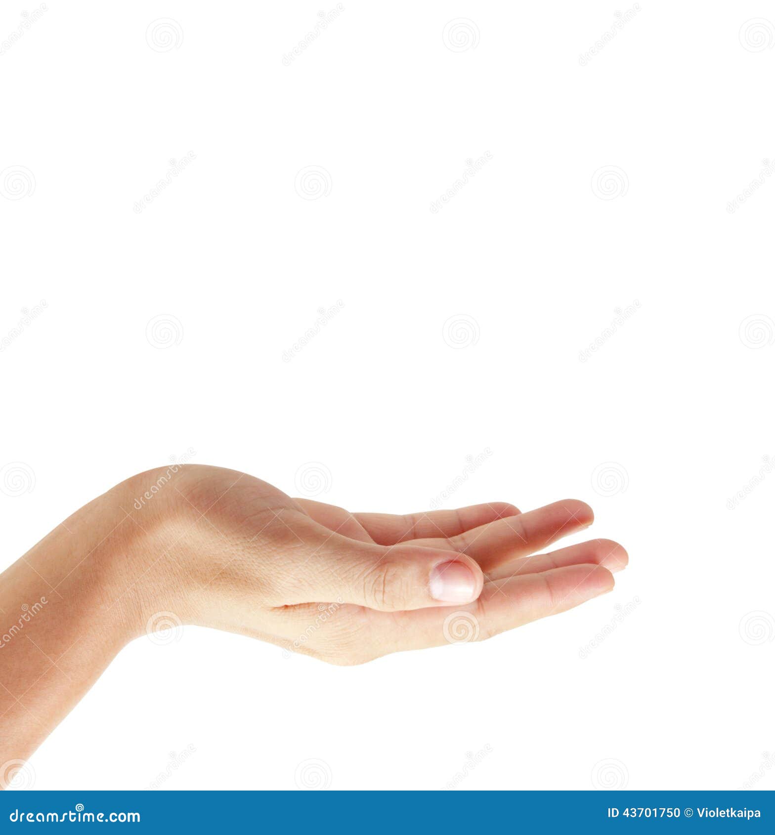 Open hand stock photo. Image of empty, carrying, thumb - 43701750