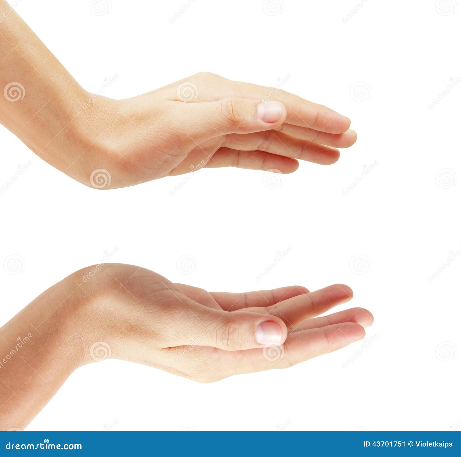 Open hand stock image. Image of gesturing, palm, human - 43701751