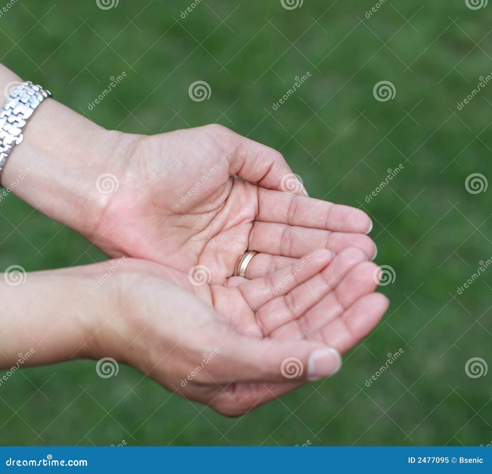 Open handen stock afbeelding. Image of diepte, groen, voorwerpen - 2477095