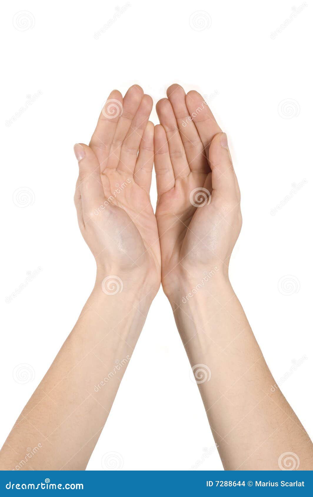 Open handen stock foto. Image of aantal, signaal, bericht - 7288644