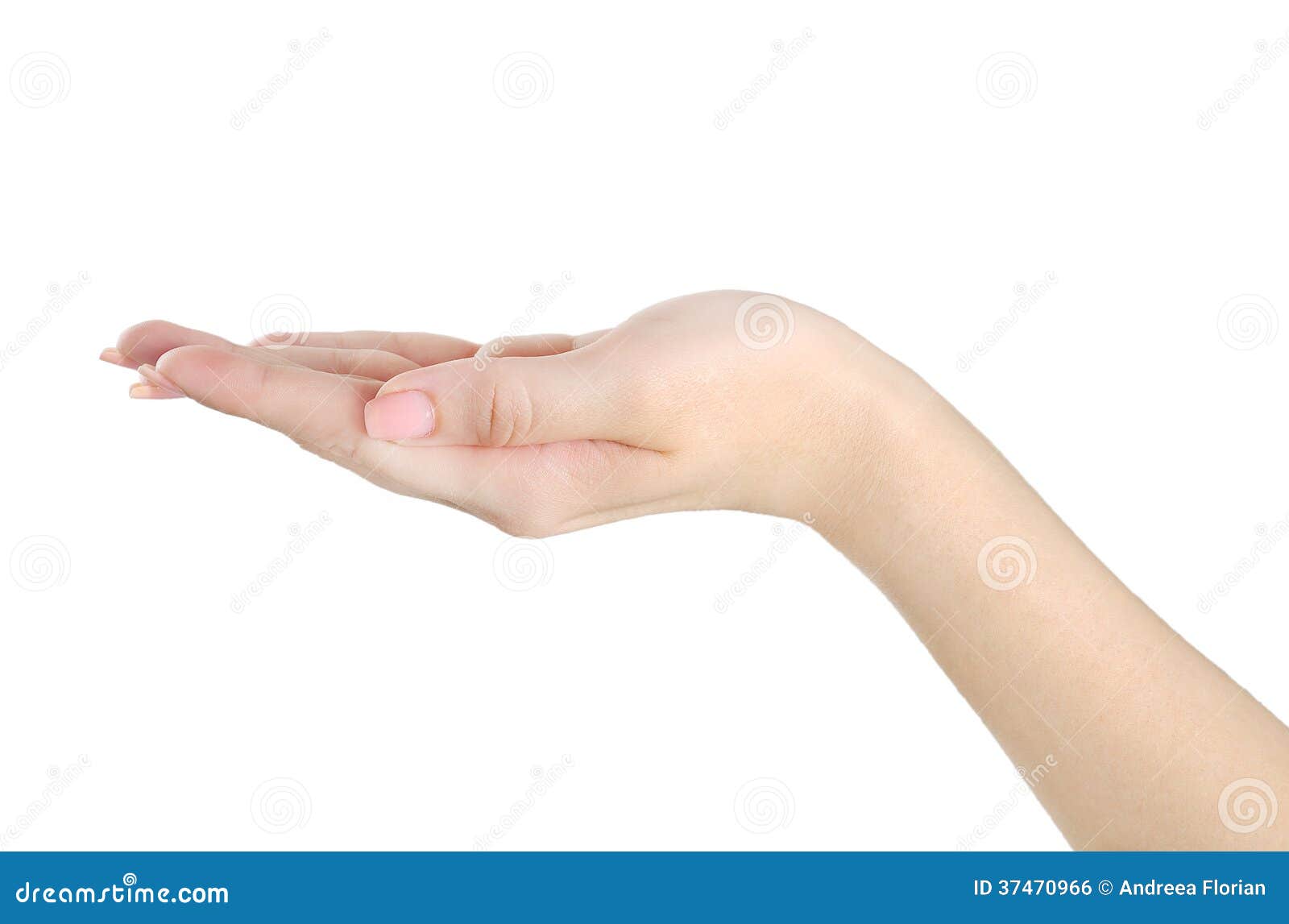 Open handgebaar stock foto. Image of palm, leeg, hulp - 37470966