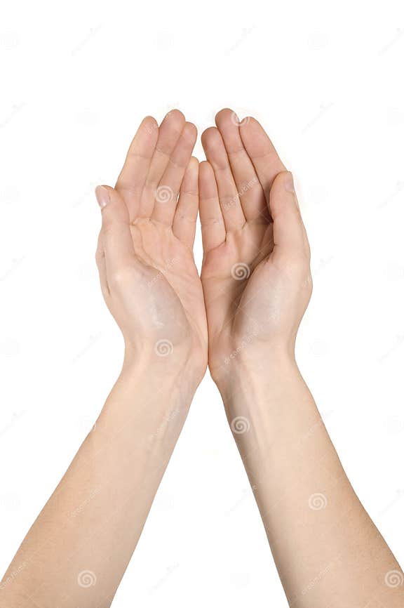 Open hands stock photo. Image of palms, white, motion - 7288644