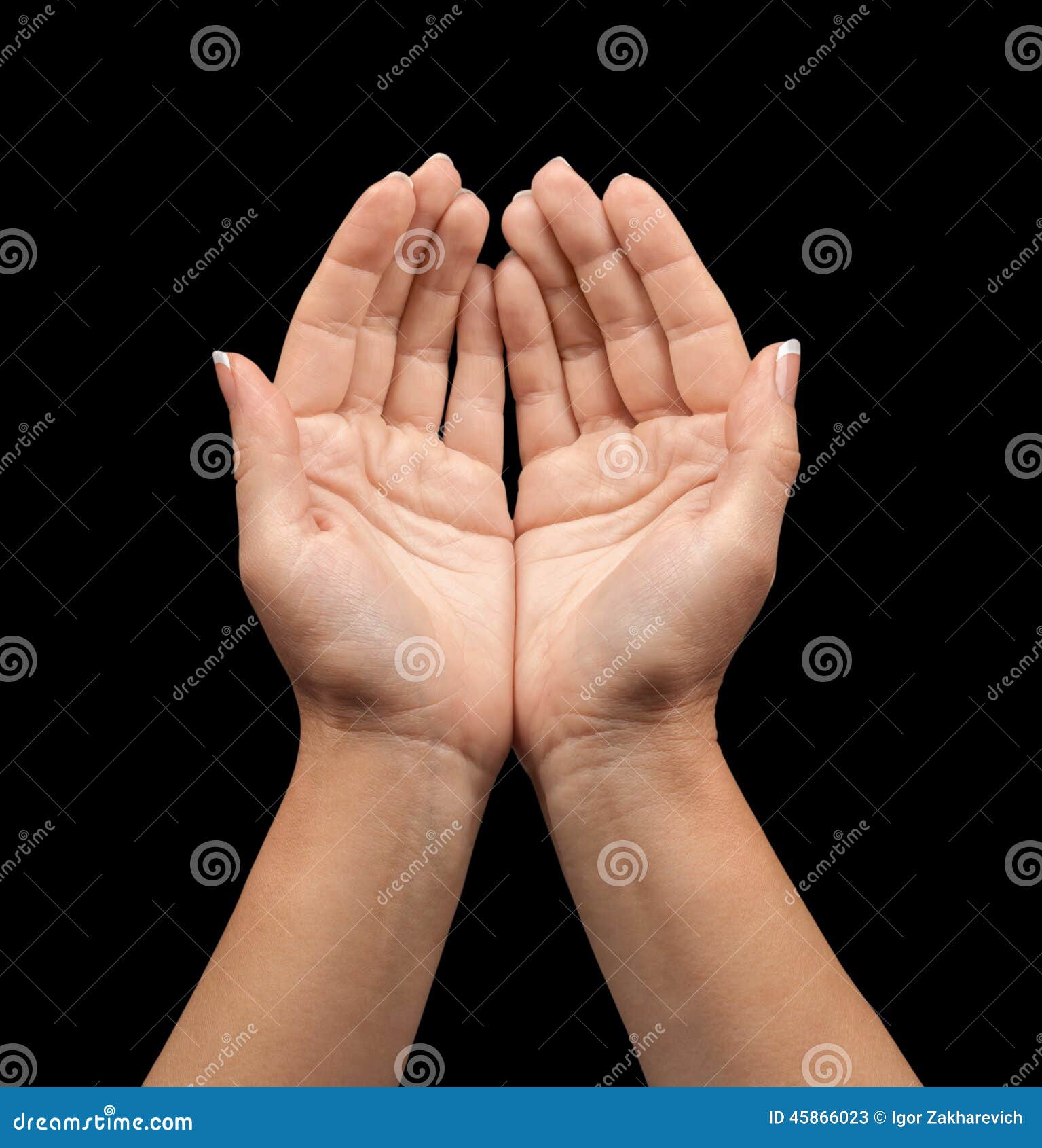 Open hands stock image. Image of closeup, forearm, hold - 45866023