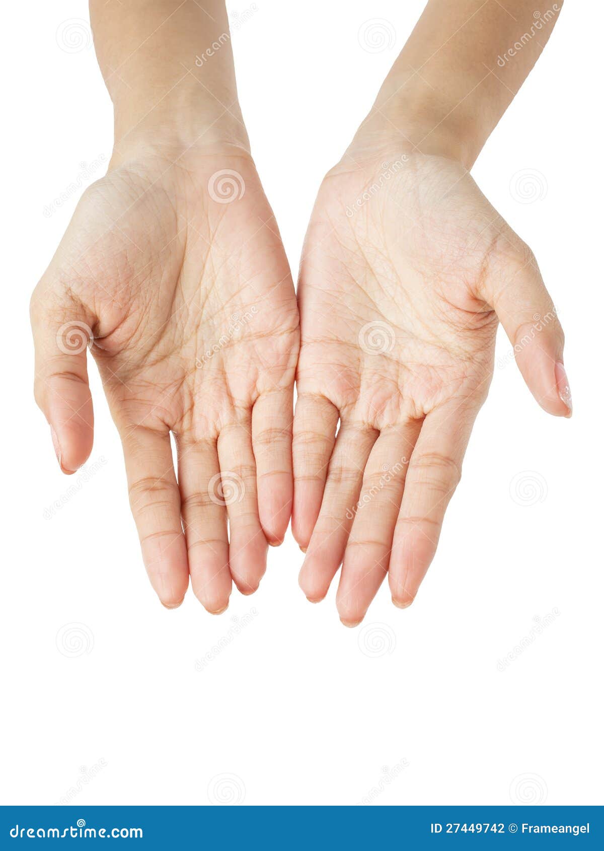 Open Hands. Holding, Giving, Showing Concept Stock Photo - Image of ...