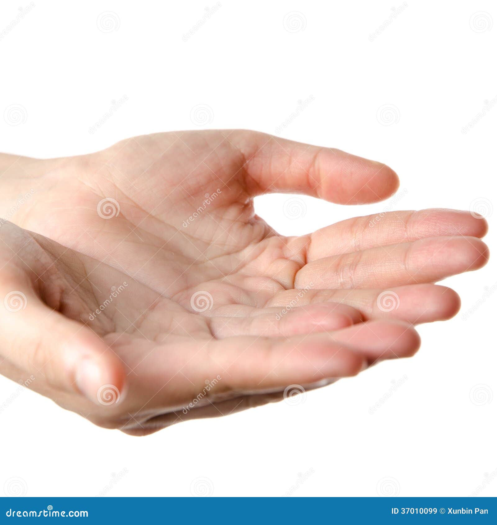 Open hands isolated stock image. Image of fingers, holding - 37010099