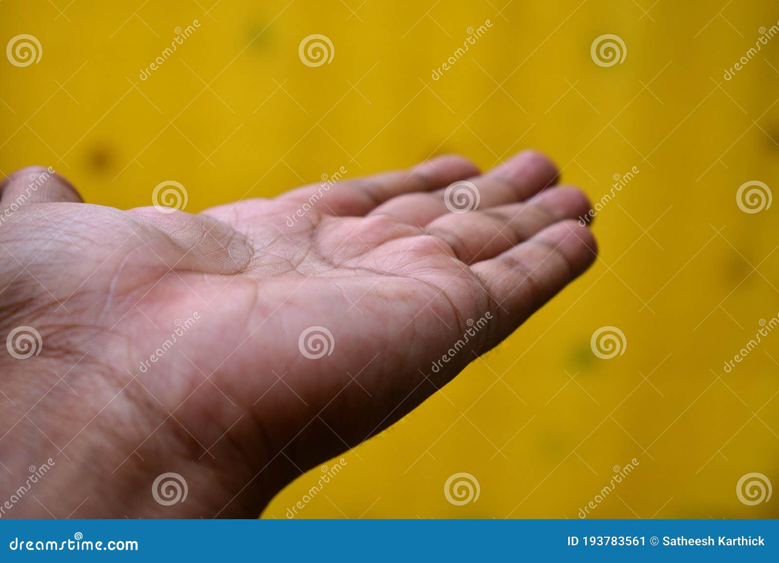 Man`s Open Hand. Concept of Giving. Stock Image - Image of palm ...