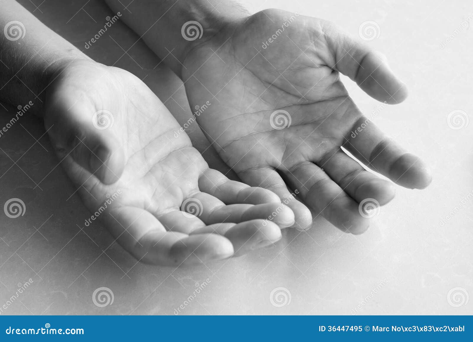 Open hands on table stock image. Image of kitchen, landscape - 36447495