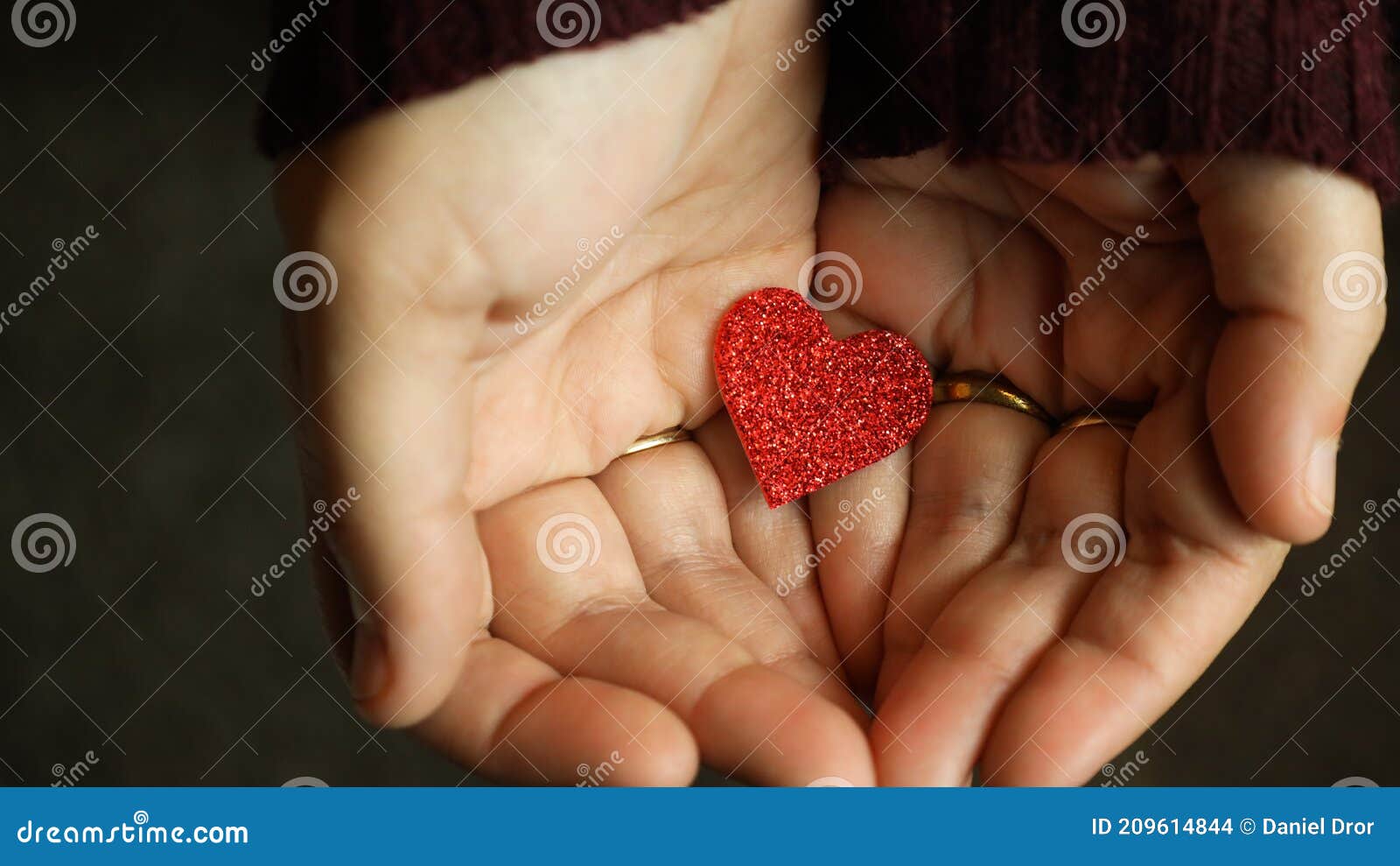 Tiny Live Heart Held in Hands Stock Photo - Image of love, hands: 209614844