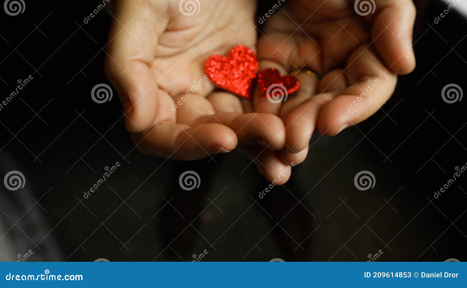 Tiny Live Heart Held in Hands Stock Image - Image of heart, live: 209614853