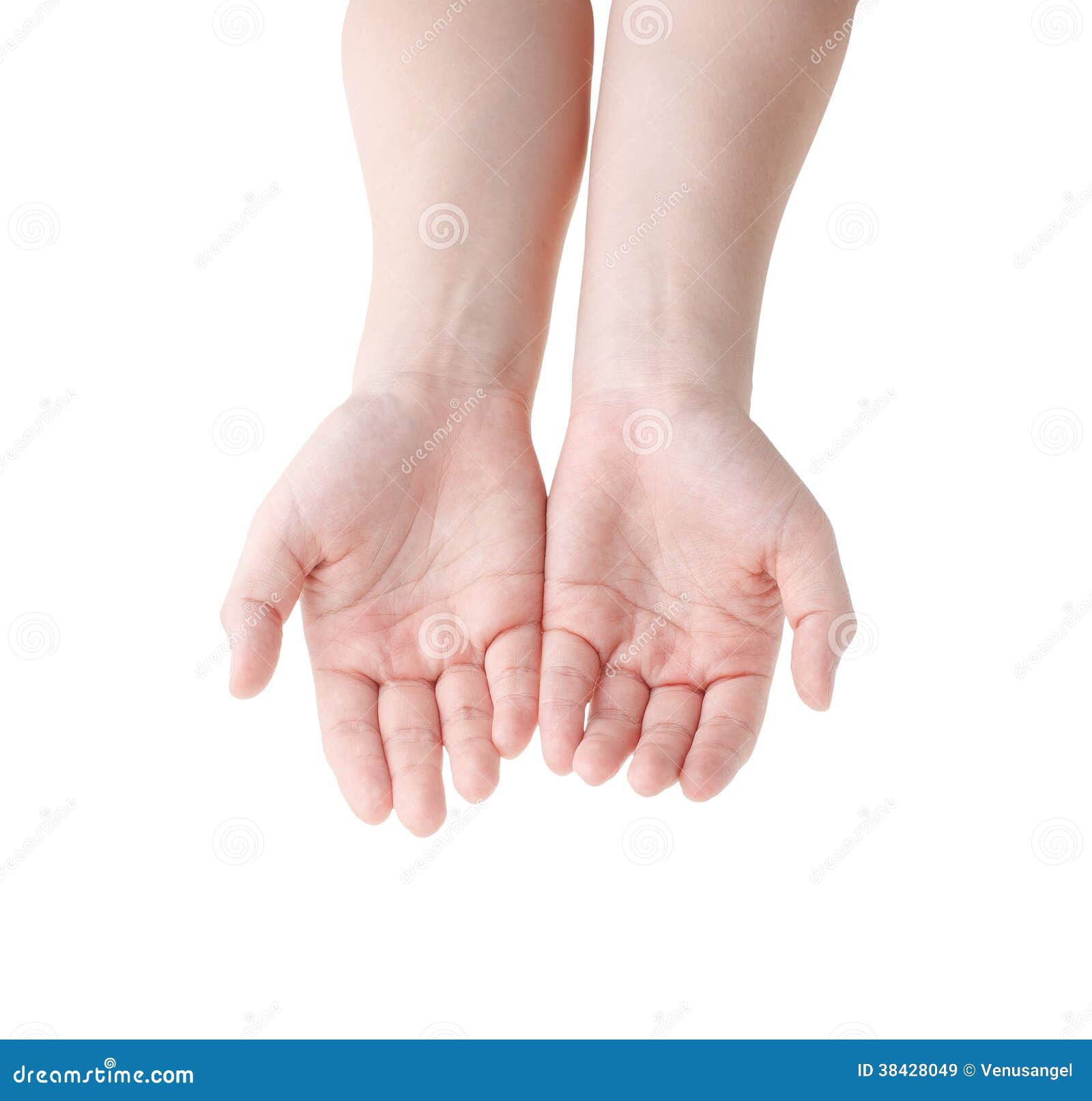 The open hands stock image. Image of pointing, white - 38428049