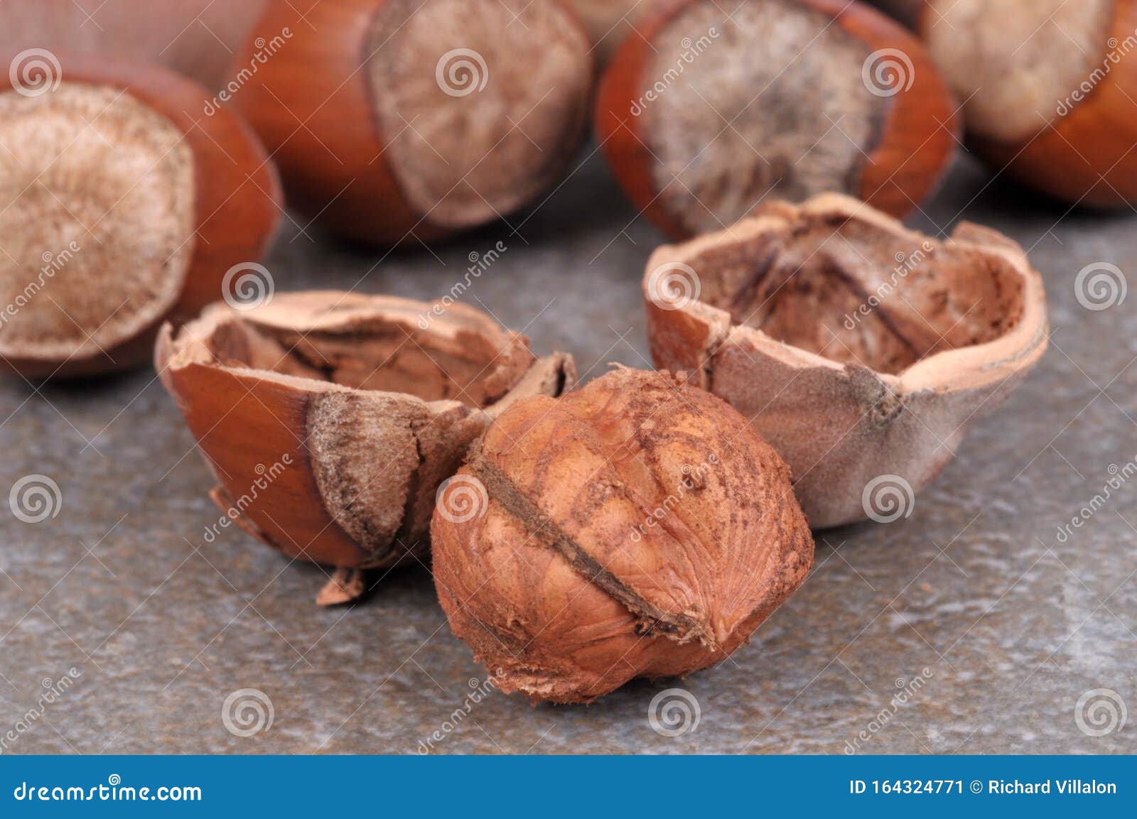 Open Hazelnut with Its Shell in Close-up Stock Image - Image of shell ...