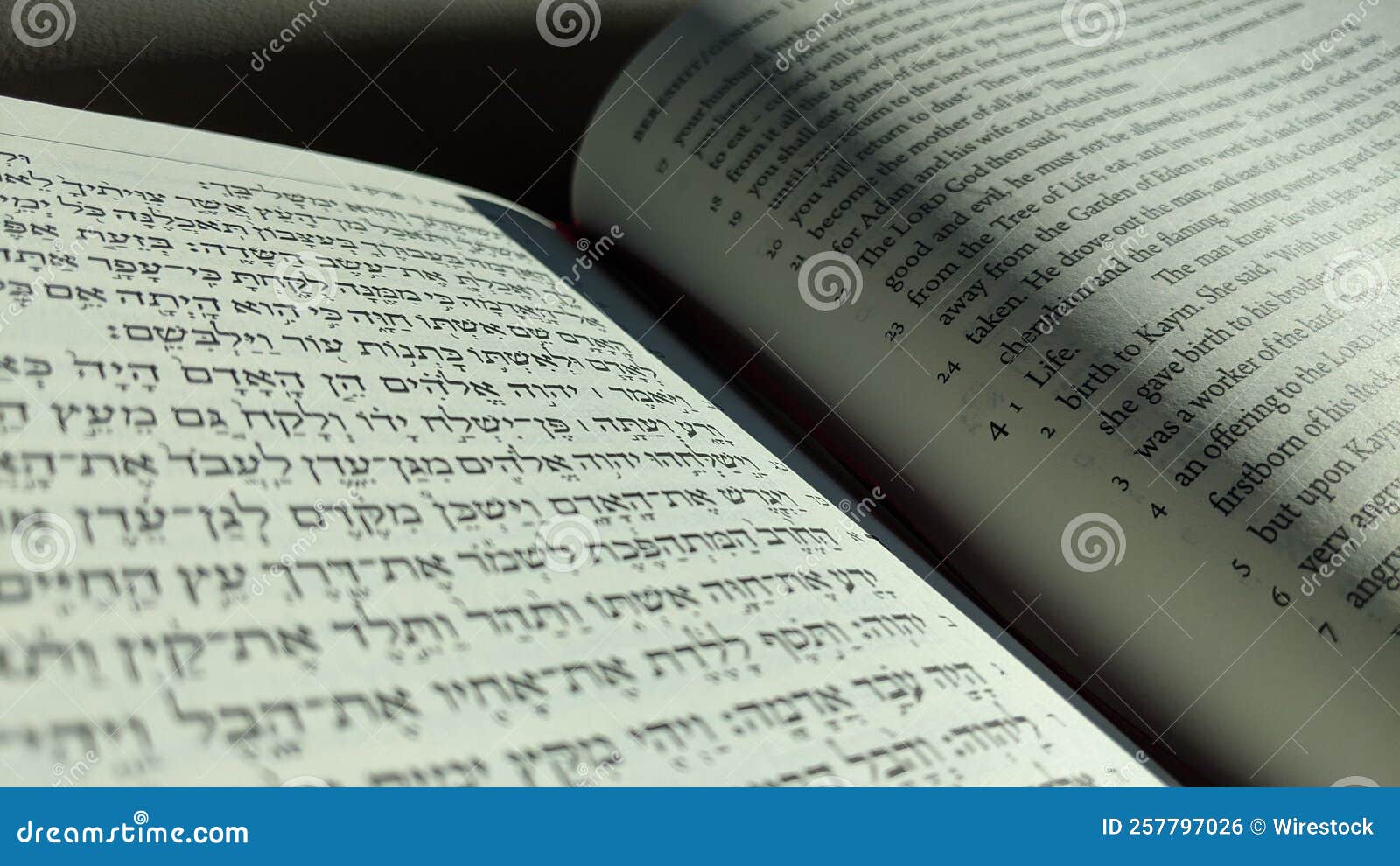 Open Hebrew Bible - TANAKH Torah, Neviim, Ketuvim - The Law, The ...