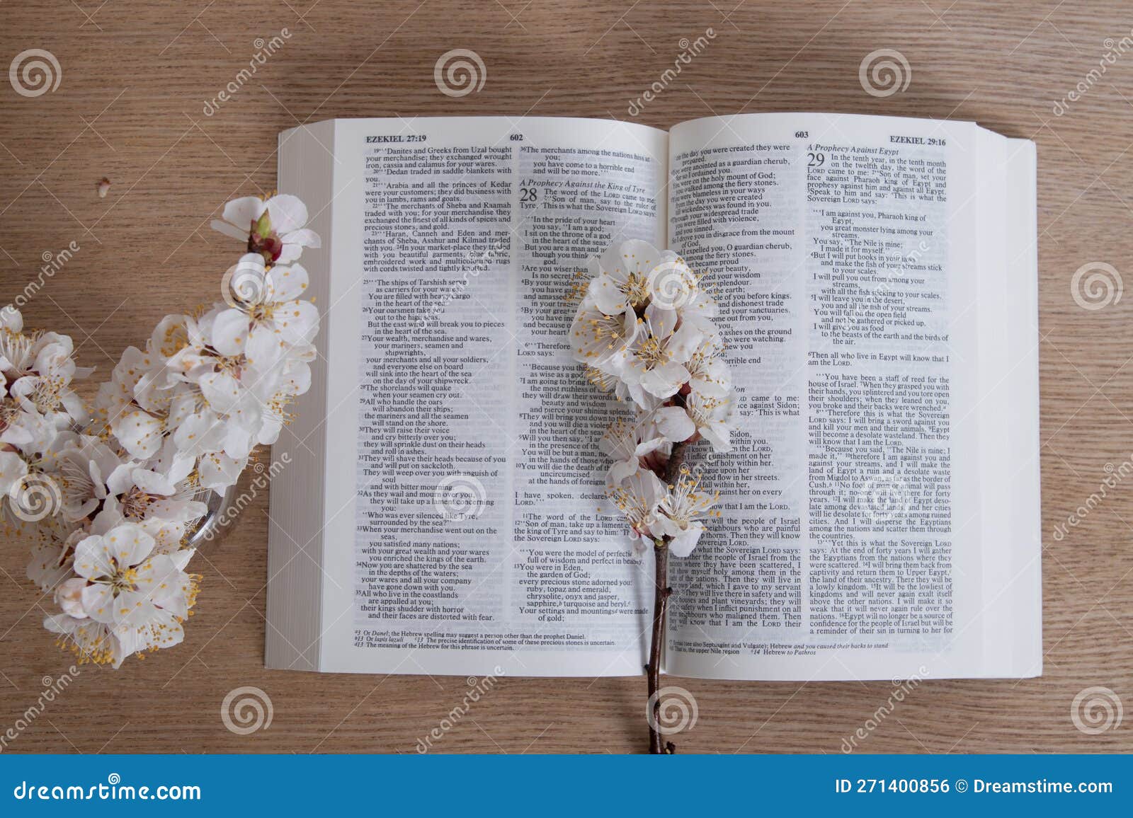 Open Holy Bible on Table Top View with Blooming Spring Branch Stock ...