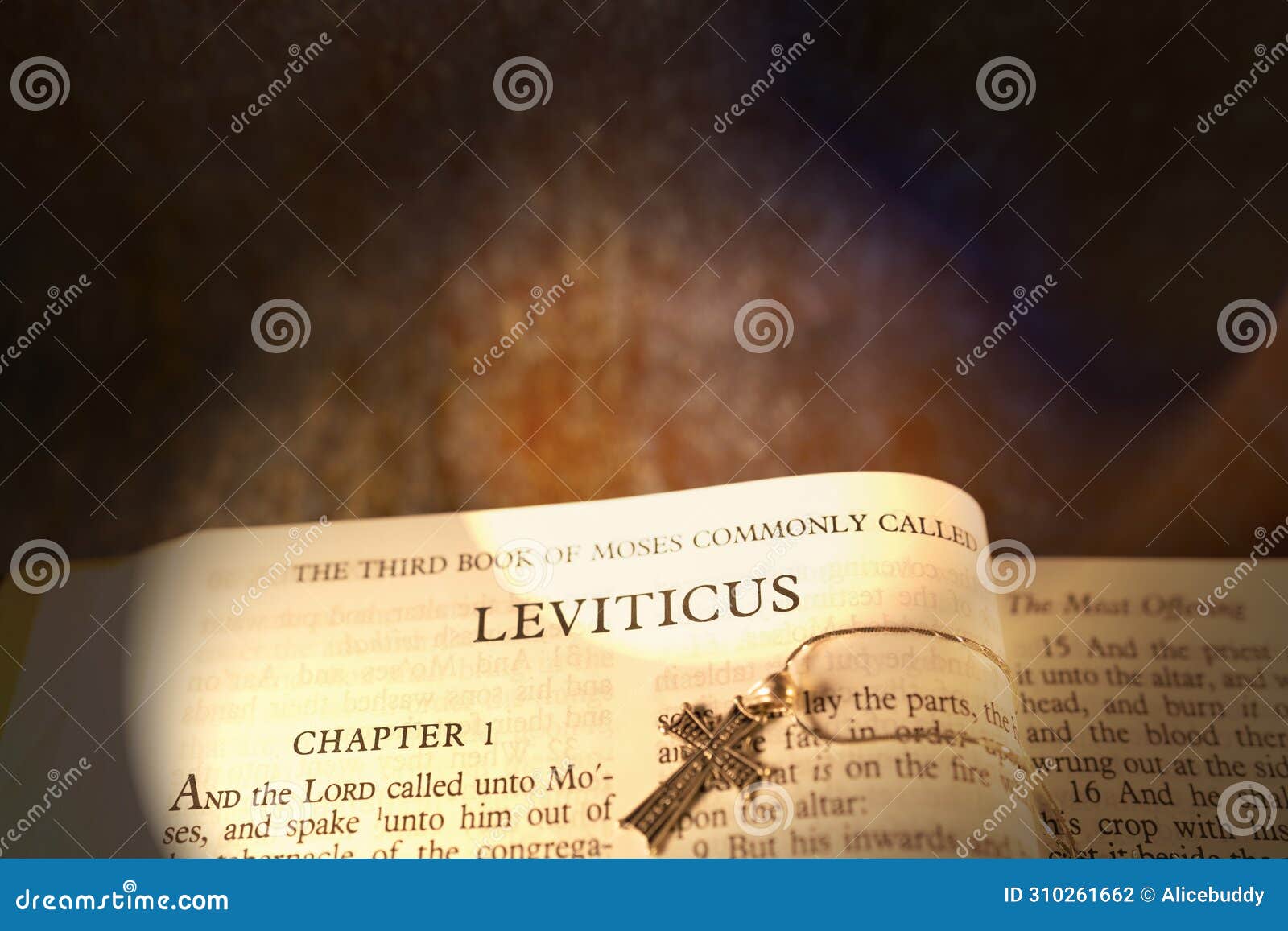 Open Holybile Book the Third Book of MOSES Commonly Called Leviticus ...