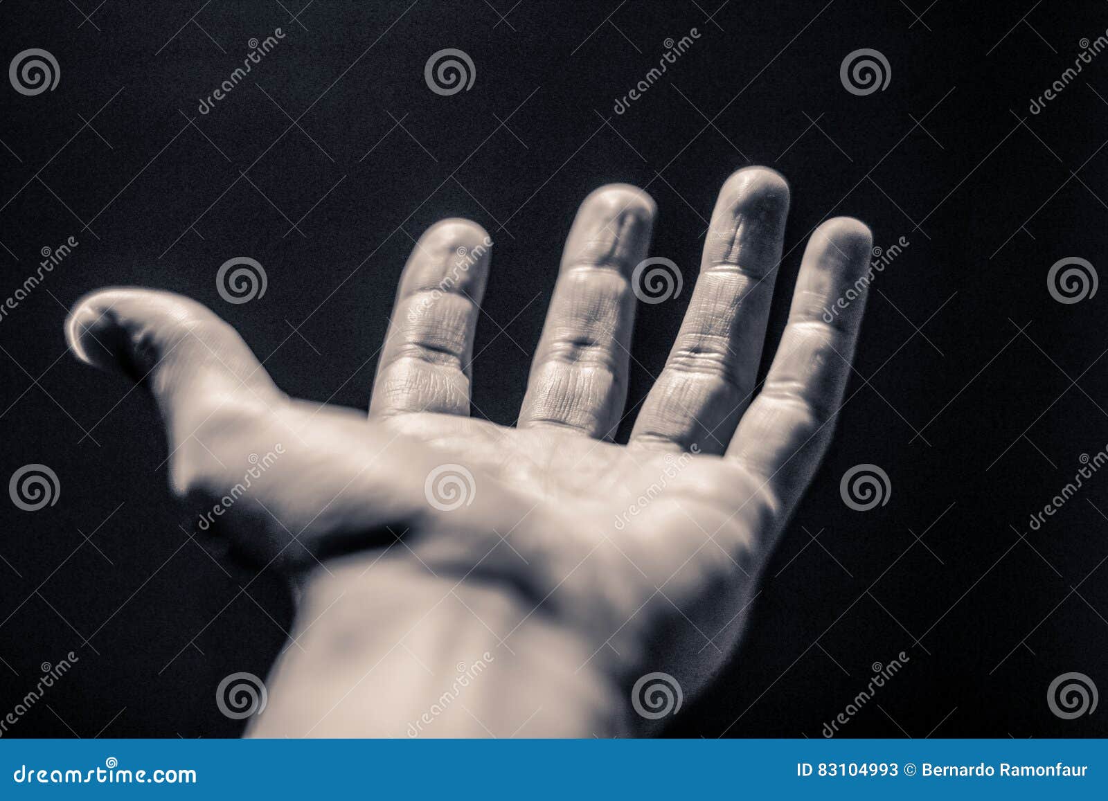 Open human hand stock image. Image of monochrome, human - 83104993