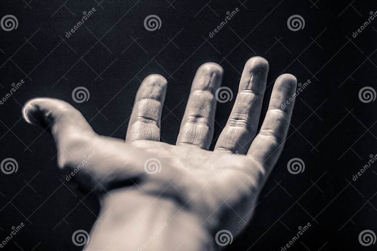 Open human hand stock image. Image of monochrome, human - 83104993