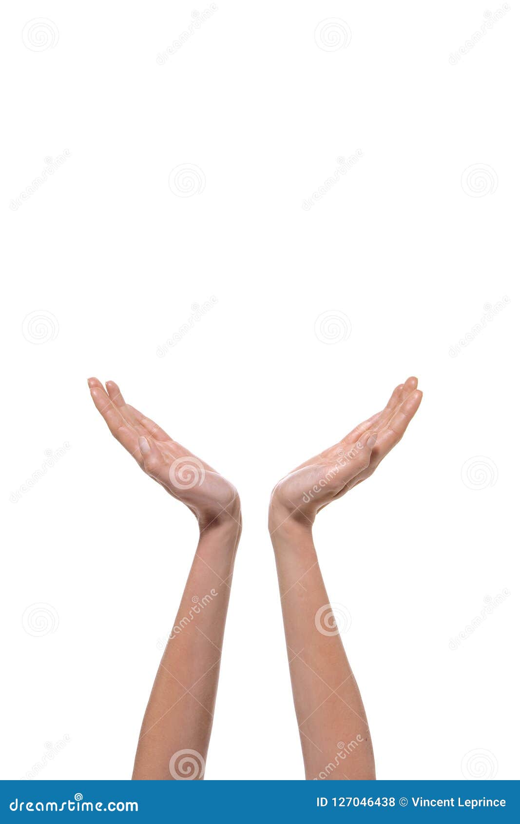 Hand Language - Open Hands Presenting Anything Stock Photo - Image of ...