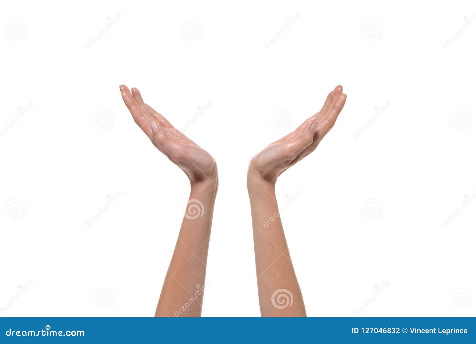 Hand Language - Open Hands Presenting Anything Stock Photo - Image of ...