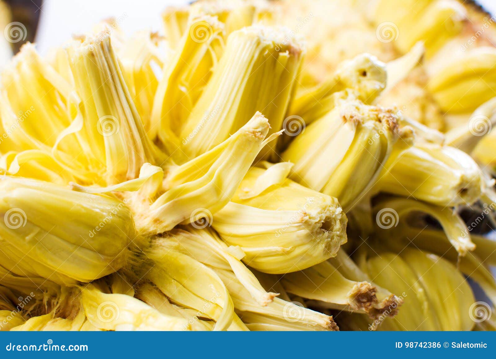 Open Jackfruit Close Up Texture Stock Photo - Image of large, healthy ...
