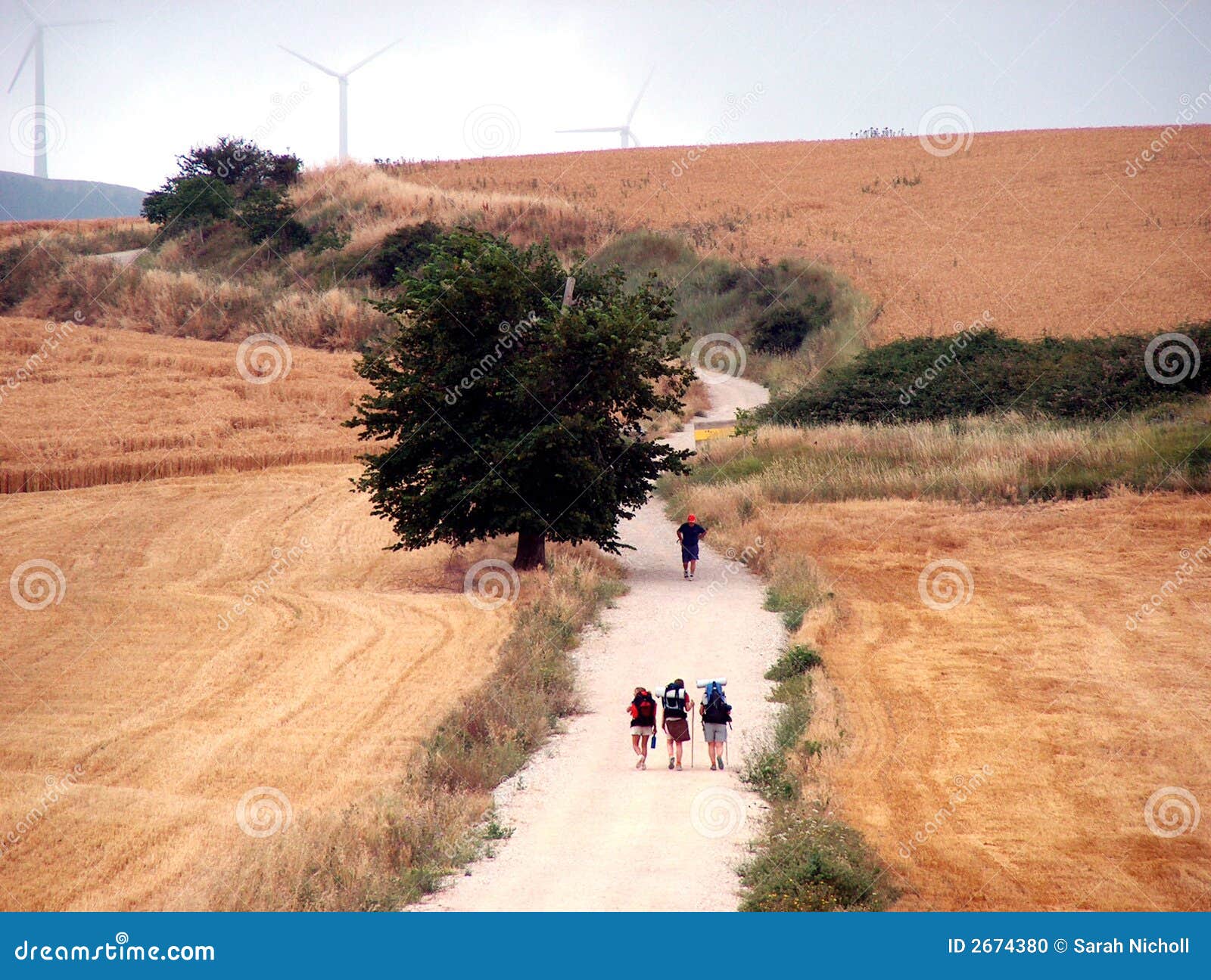 Open Journey stock photo. Image of camino, spanish, landscape - 2674380