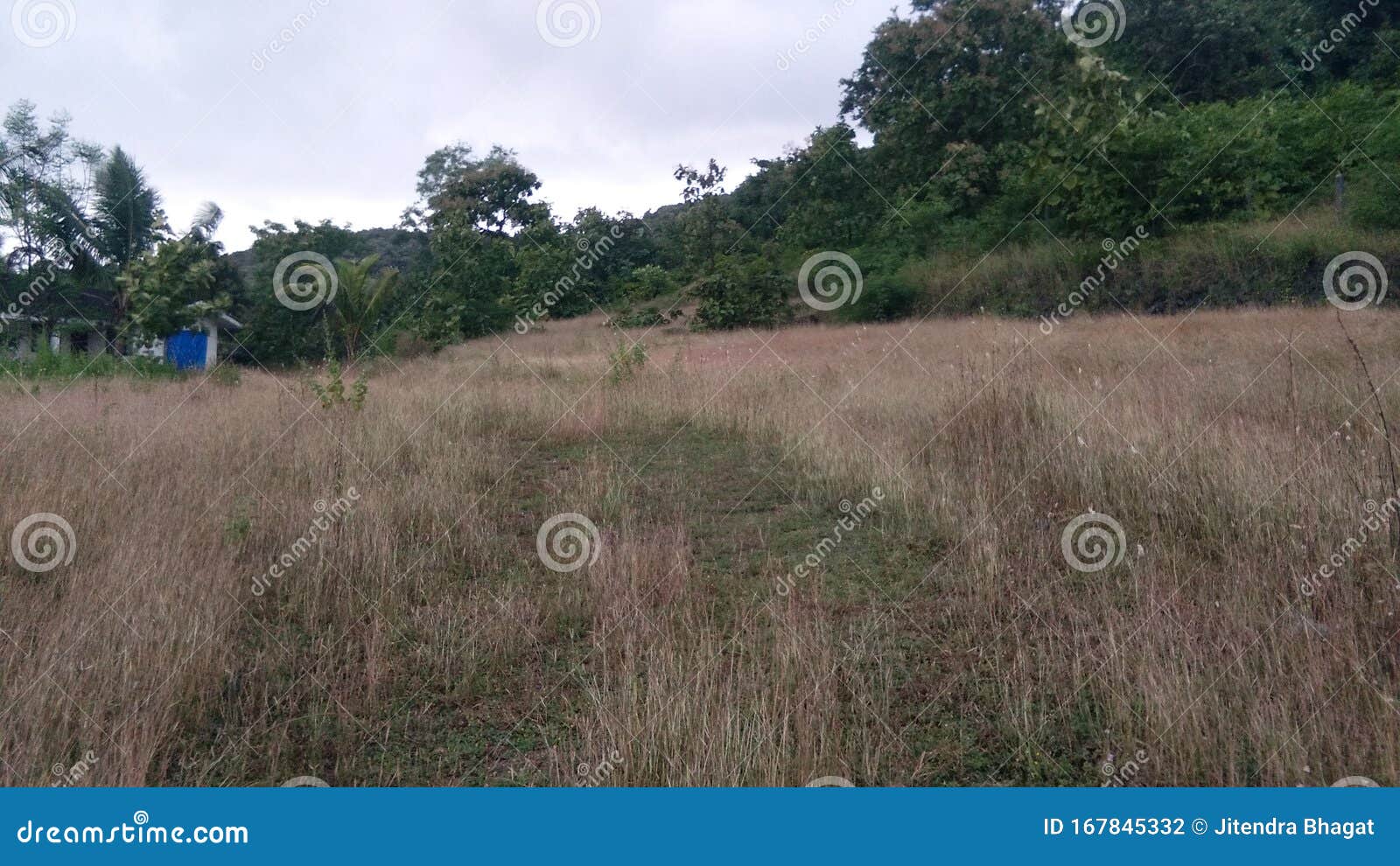 Open Land for Agriculture Purpose in Nandgaon Stock Photo - Image of ...